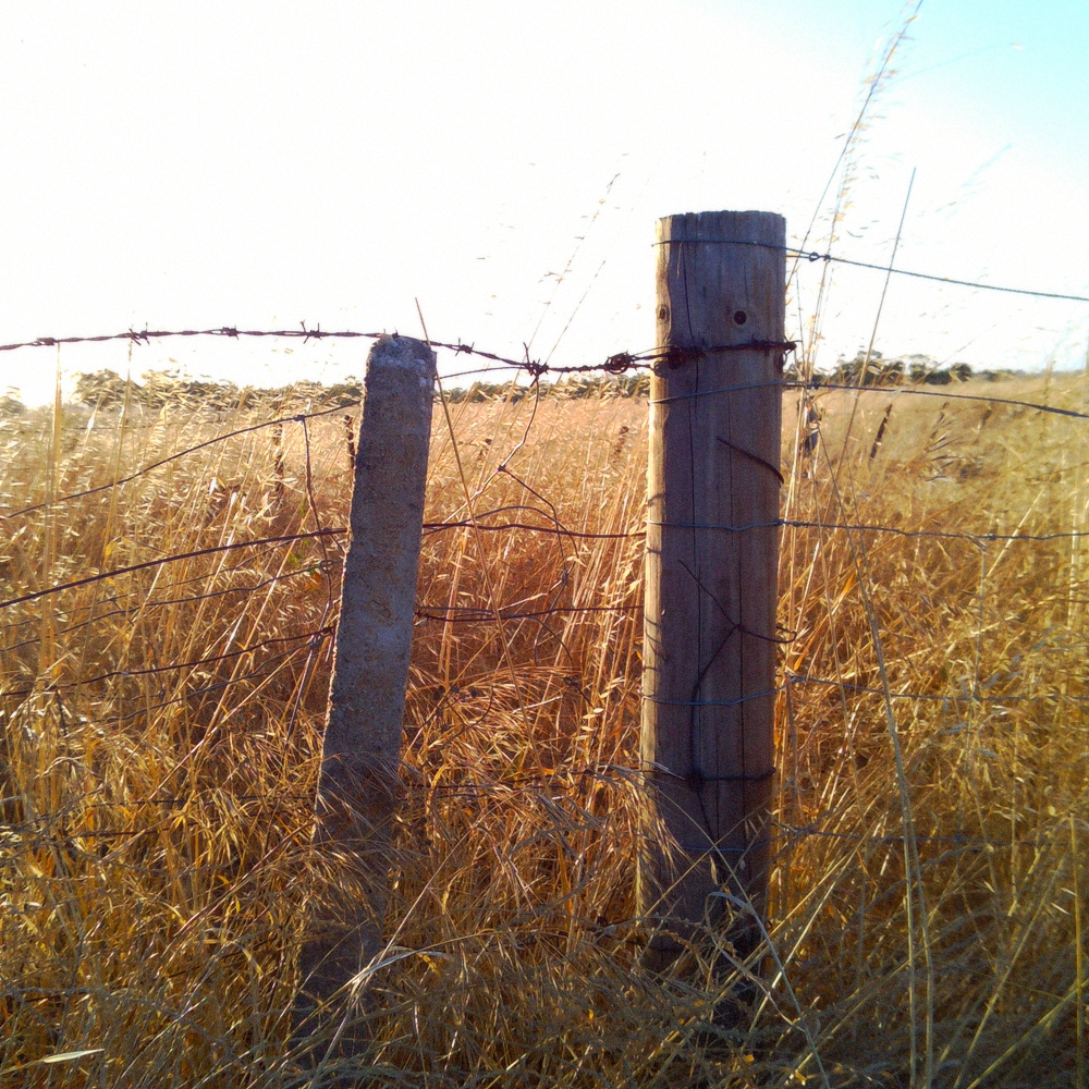 The Chuzhao Toy Camera ~ Inspiration at your fingertips or more plastic ...